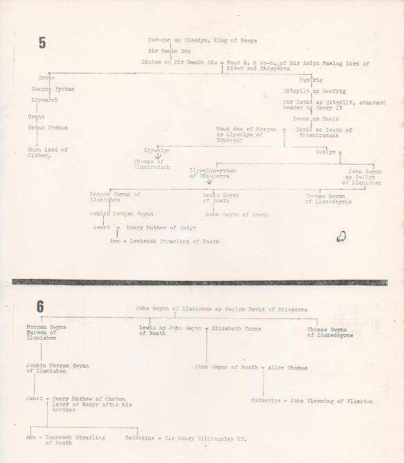 Vol 1 No 7: Some Gentry Families in Roath Parish or Manor? | Roath ...