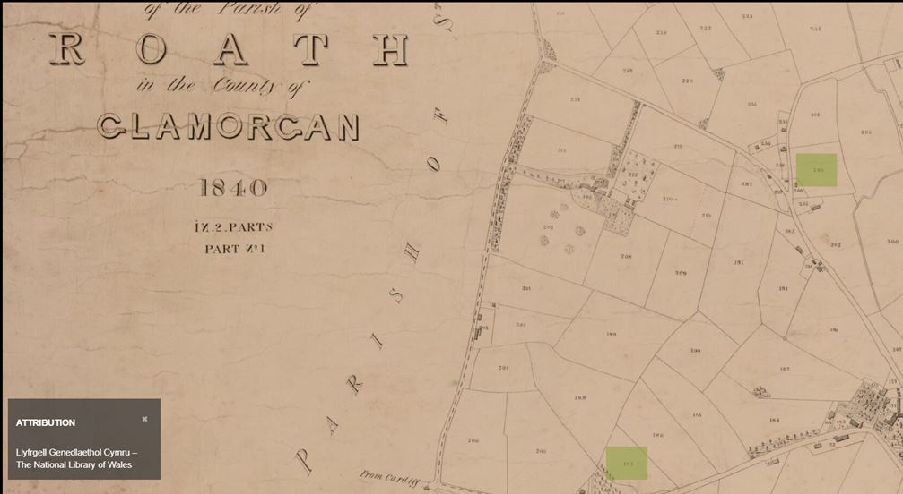 Castle Road | Roath Local History Society