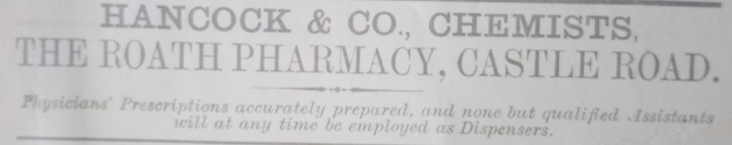 Castle Road | Roath Local History Society