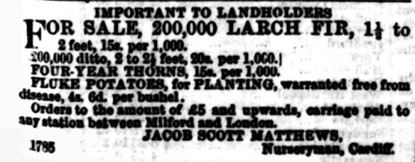 The street names of Temperance Town | Roath Local History Society