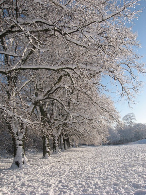 Roath Recreation Ground | Roath Local History Society