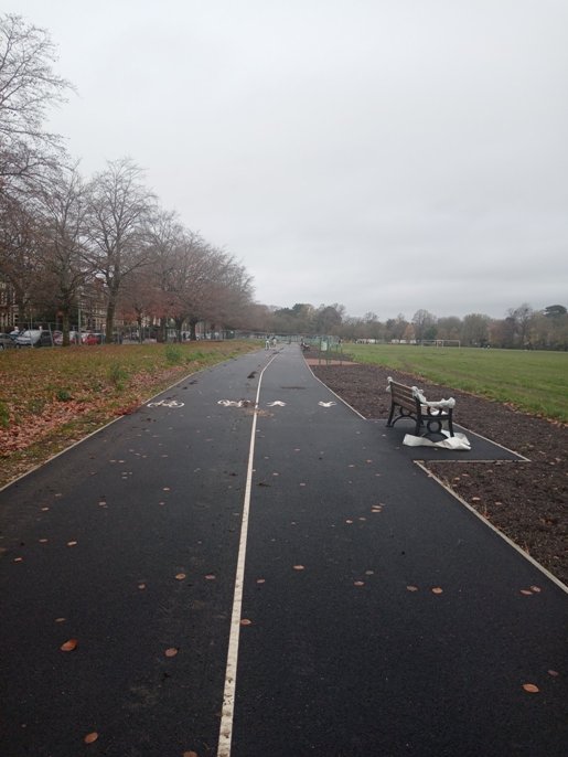 Roath Recreation Ground | Roath Local History Society